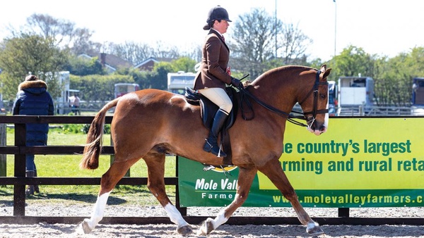 Horseexpert | The Horse & Hound Podcast 148: Showing sisters Vicky ...